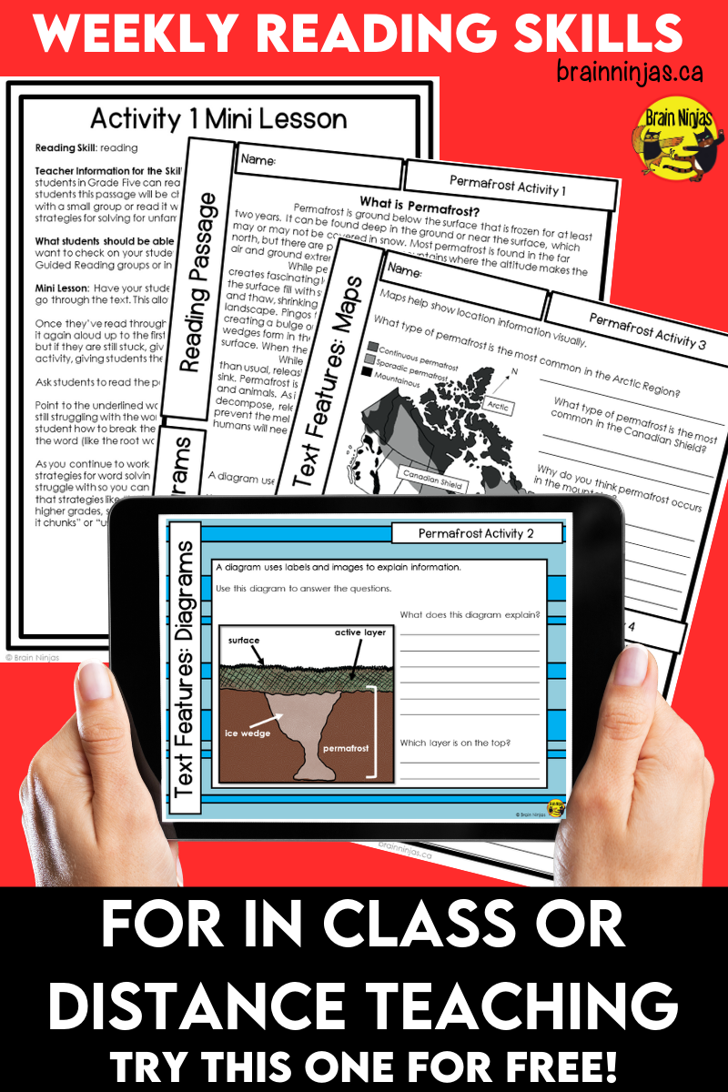 How to Set Up Your Reading Comprehension Schedule