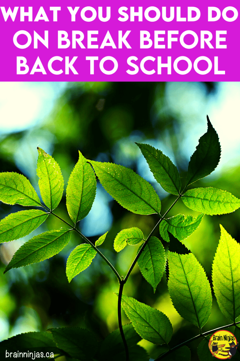What You Should Do On Break Before Back to School - Ninja Notes