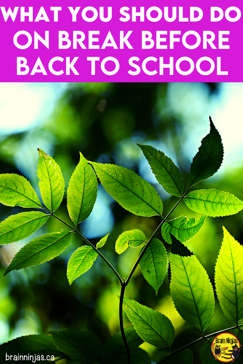 What You Should Do On Break Before Back to School - Ninja Notes
