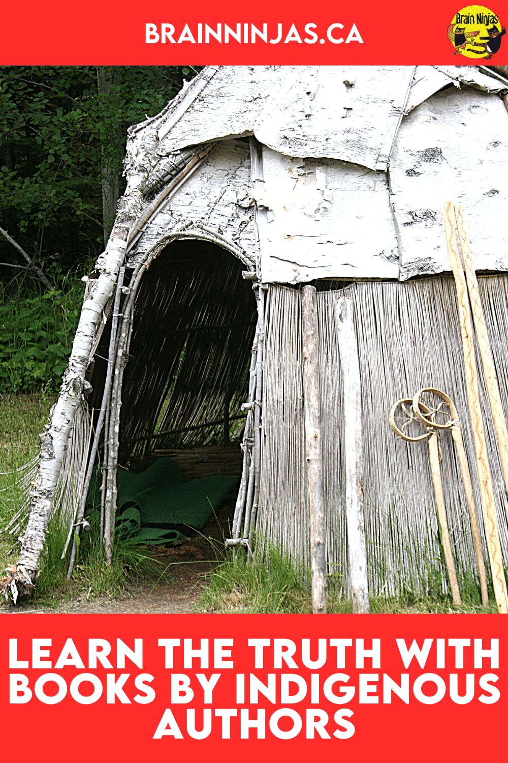 Learn the Truth With Books by Indigenous Authors - Ninja Notes