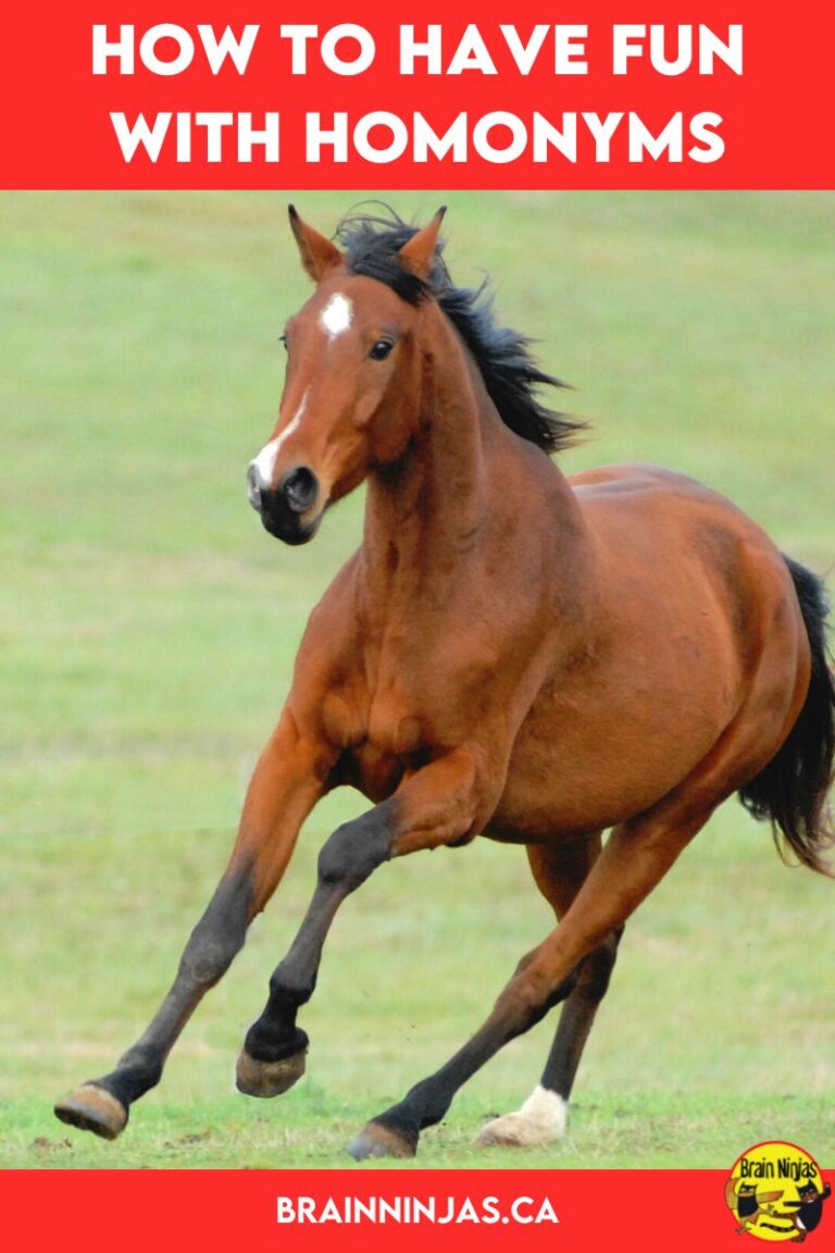 How to Have Fun With Homonyms - Ninja Notes