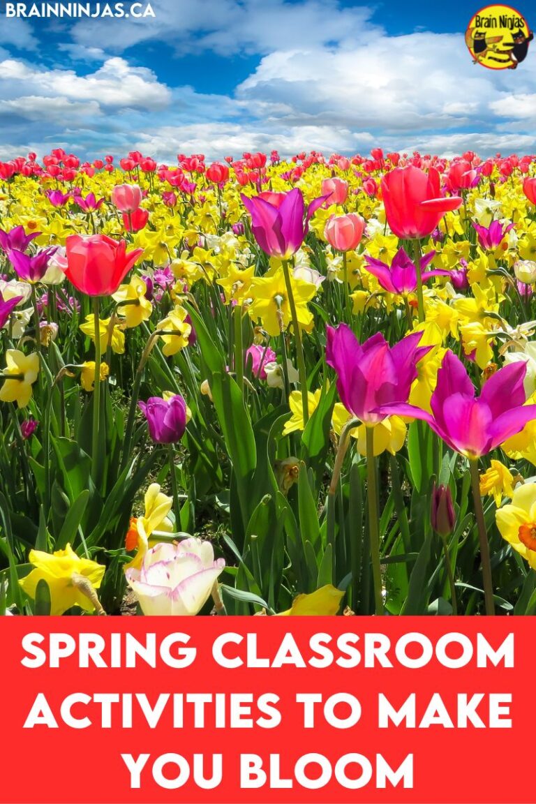 Spring Classroom Activities To Make You Bloom - Ninja Notes