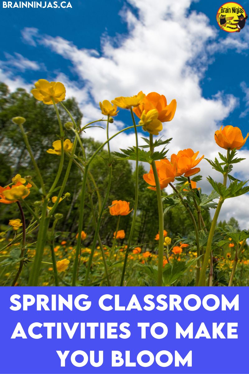 Spring Classroom Activities To Make You Bloom - Ninja Notes