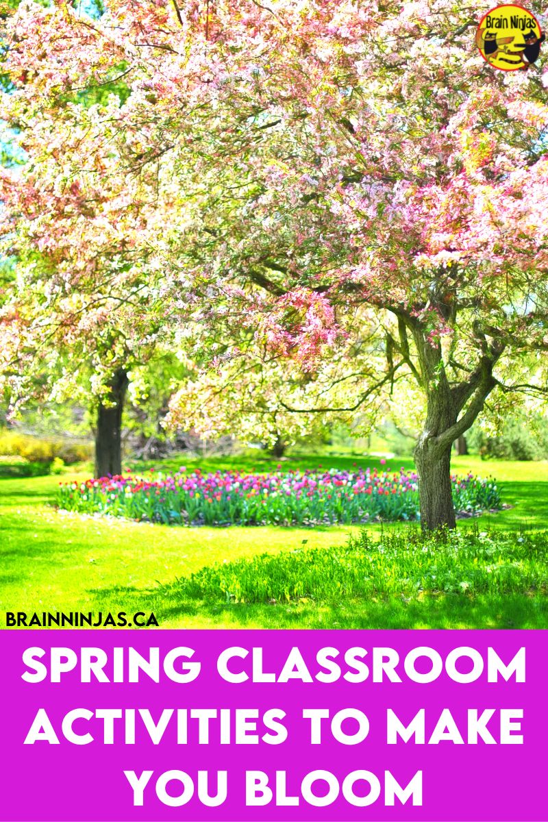 Spring Classroom Activities To Make You Bloom - Ninja Notes