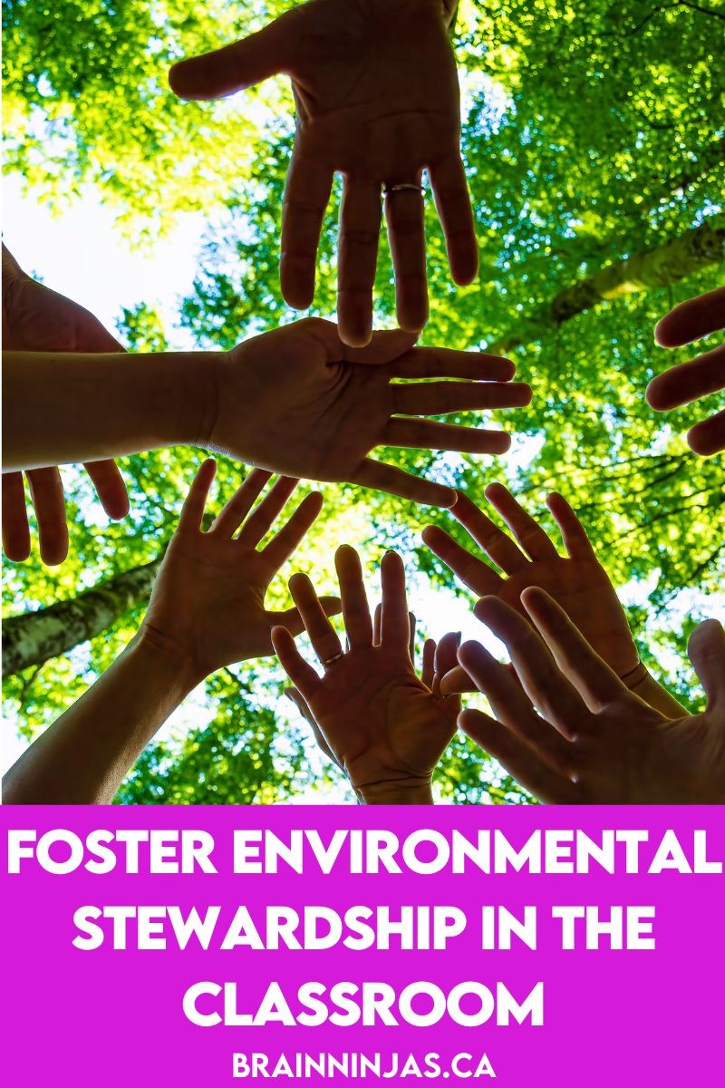Foster Environmental Stewardship in the Classroom - Ninja Notes