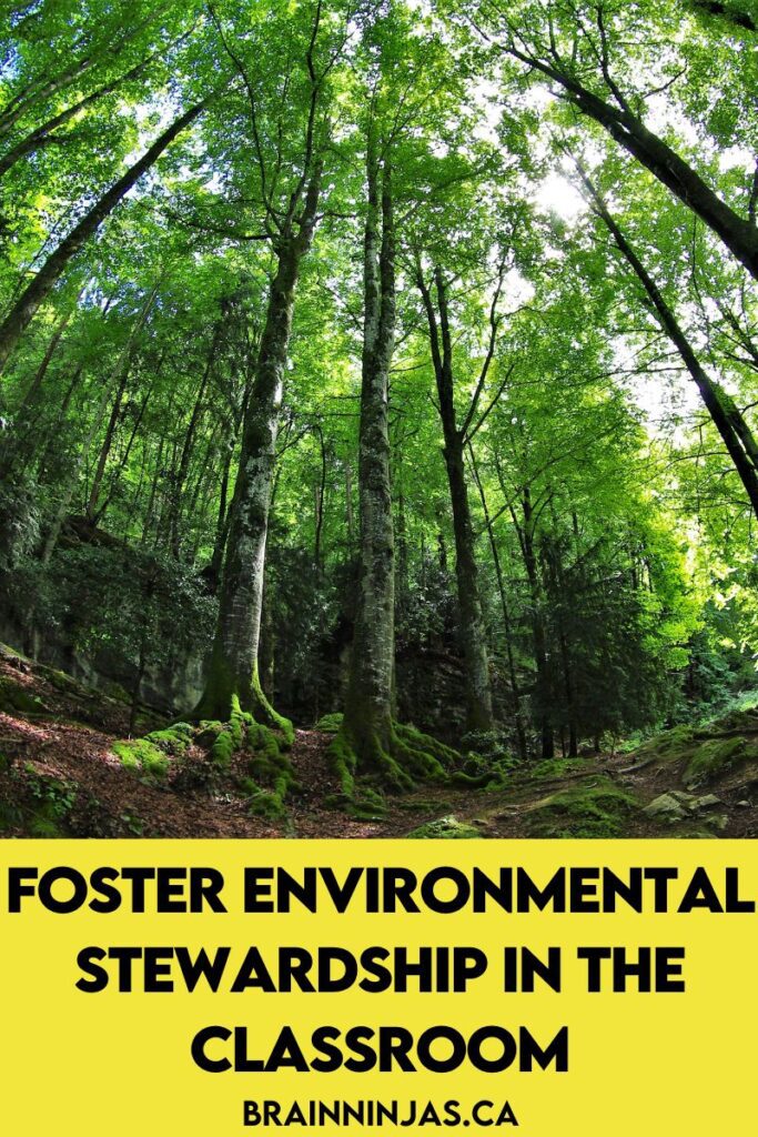 Foster Environmental Stewardship in the Classroom - Ninja Notes