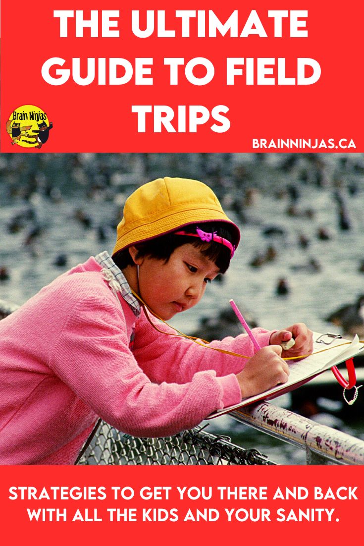 The Ultimate Guide to Field Trips - Ninja Notes
