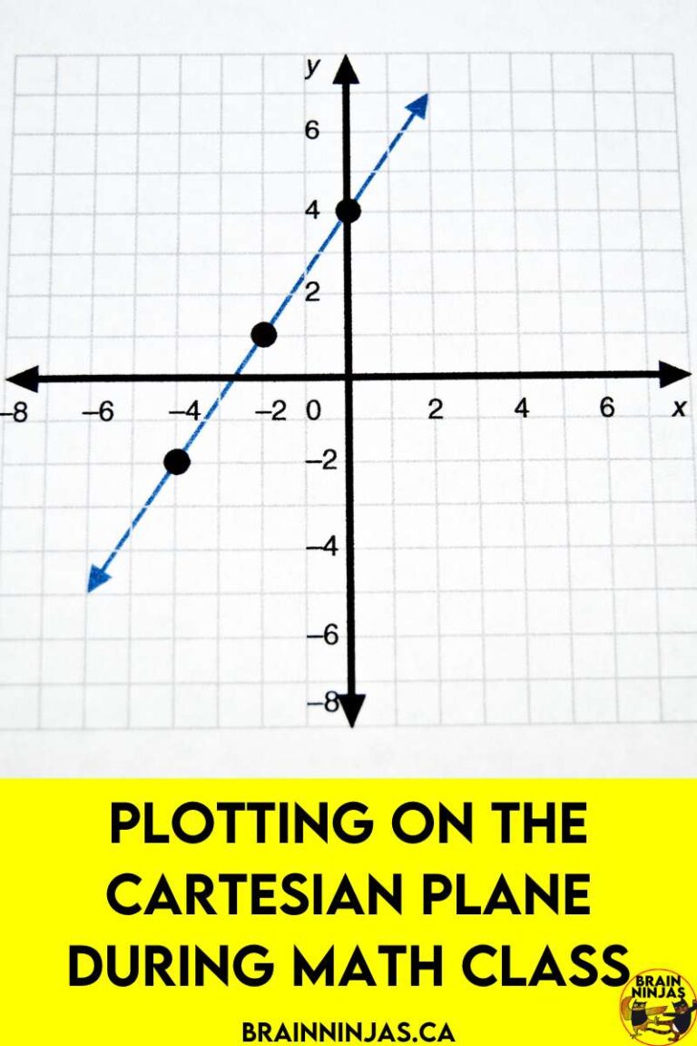 Plotting on the Cartesian Plane During Math Class - Ninja Notes