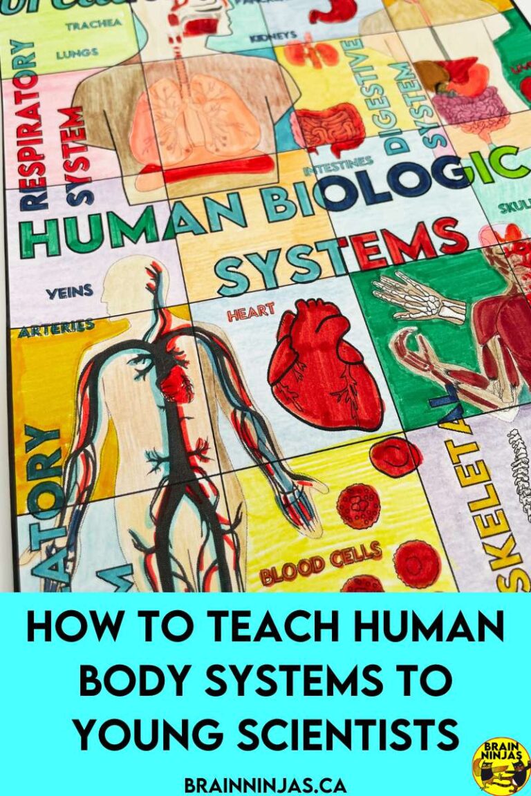 How to Teach Human Body Systems to Young Scientists - Ninja Notes