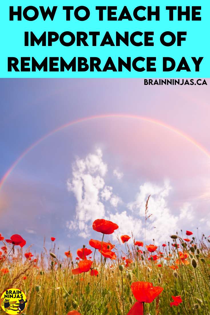 How to Teach the Importance of Remembrance Day - Ninja Notes