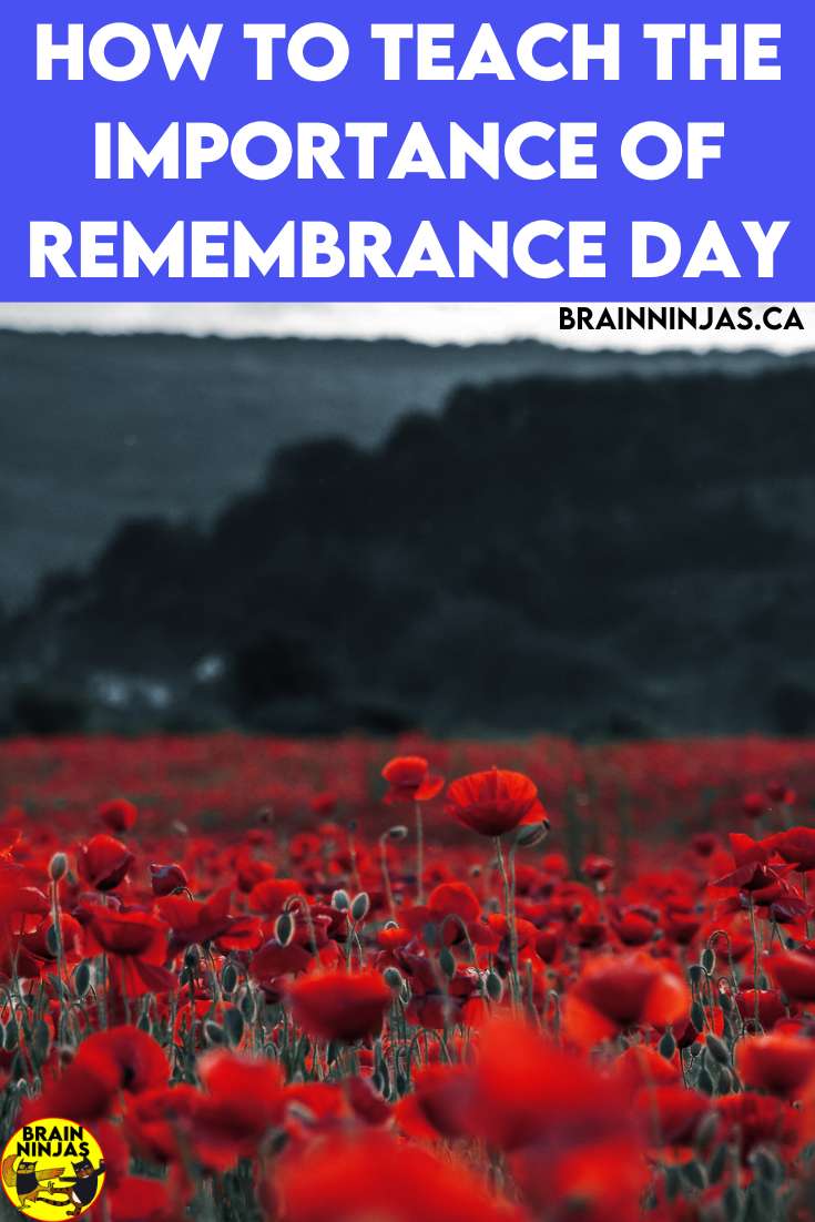 How to Teach the Importance of Remembrance Day - Ninja Notes