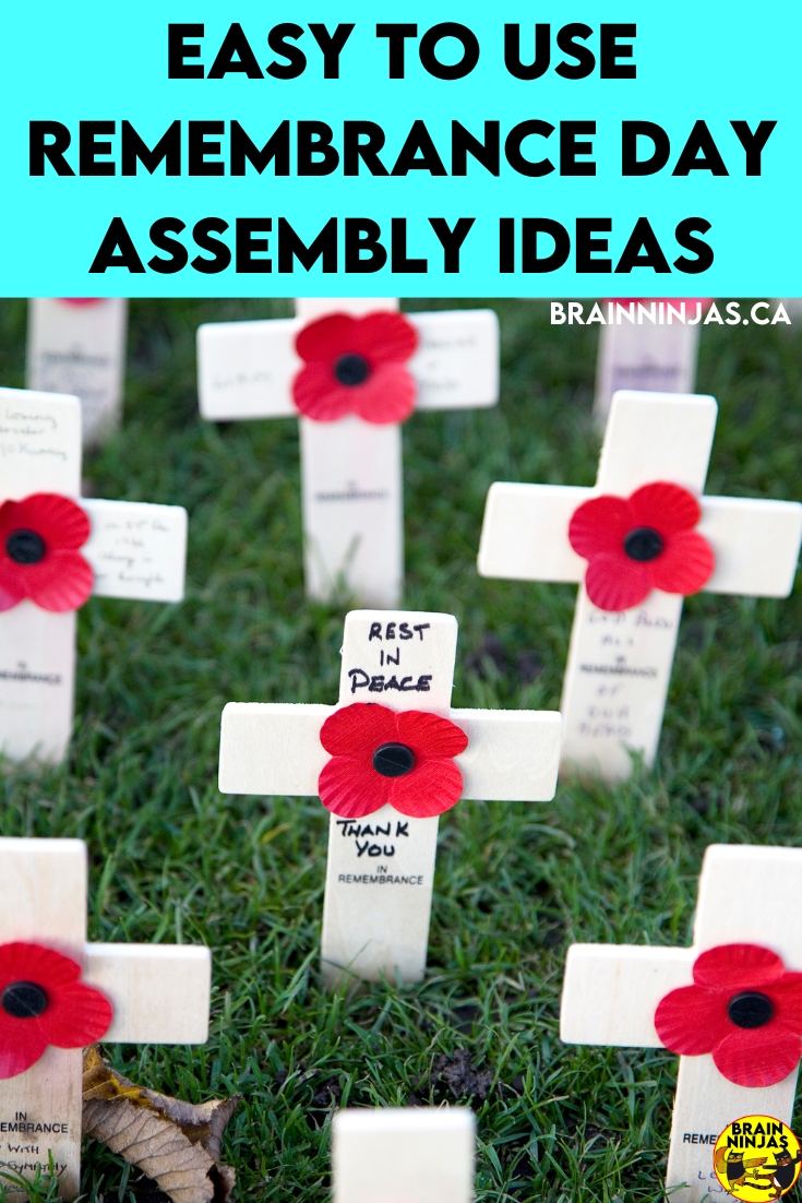 Easy to Use Remembrance Day Assembly Ideas - Ninja Notes