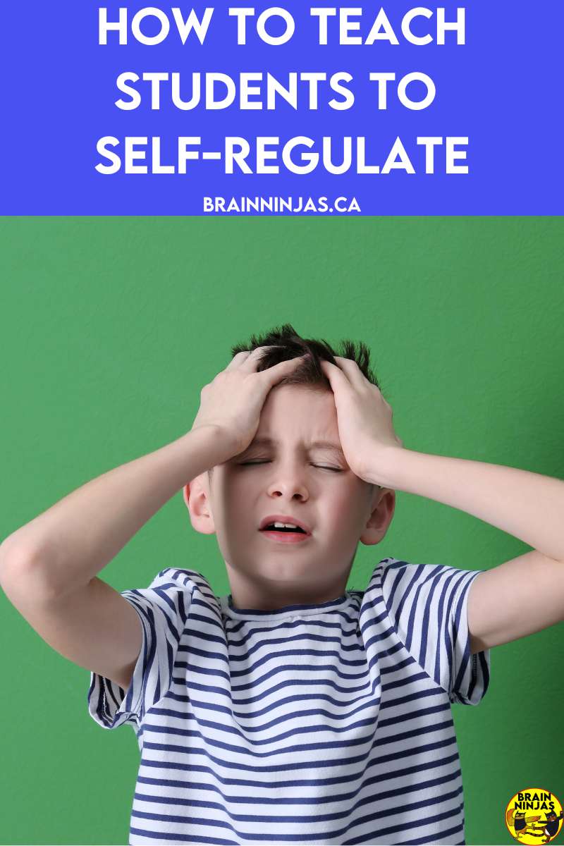 How to Teach Students to Self-Regulate - Ninja Notes