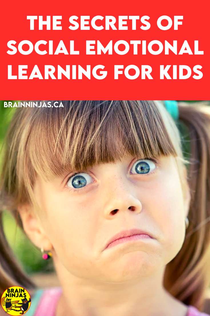 The Secrets of Social Emotional Learning for Kids - Ninja Notes