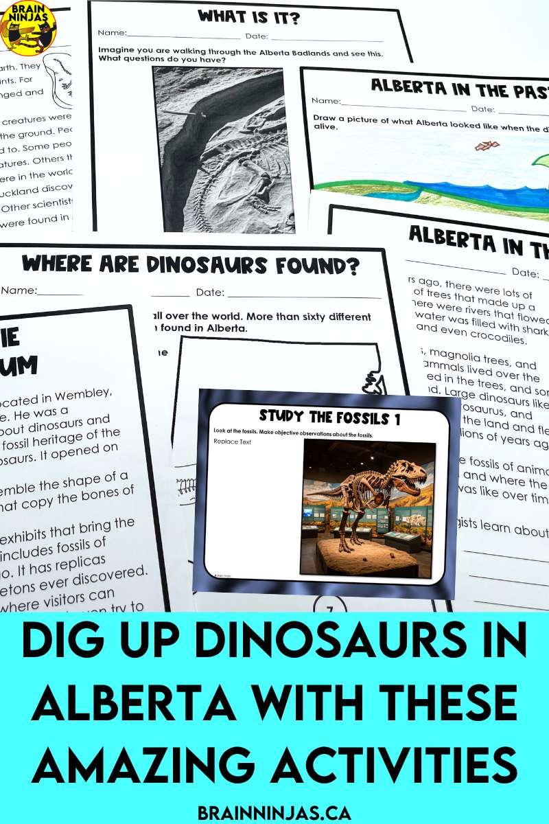 Dig Up Dinosaurs in Alberta With These Amazing Activities - Ninja Notes