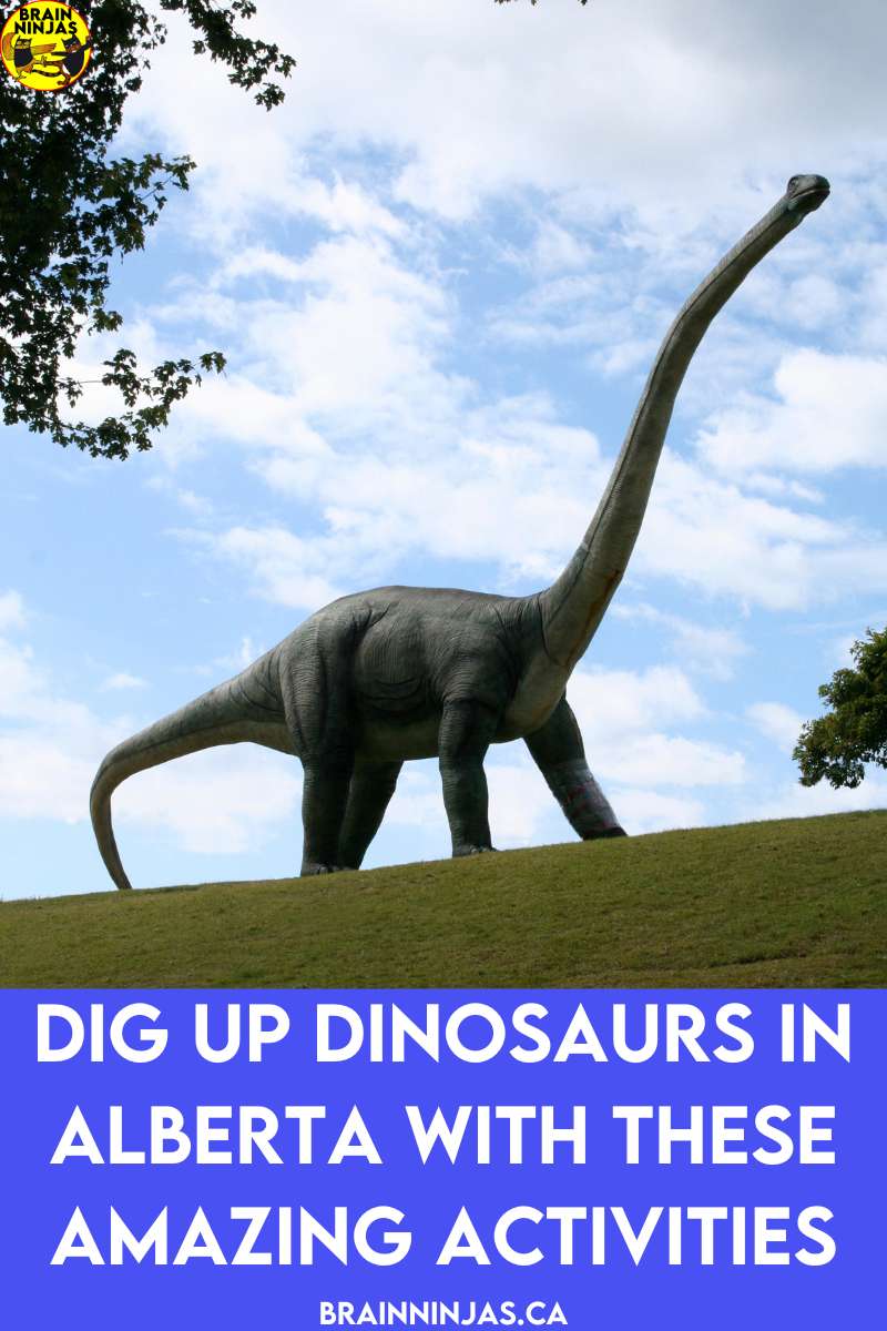 Dig Up Dinosaurs in Alberta With These Amazing Activities - Ninja Notes