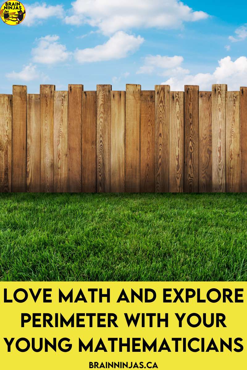 Love Math and Explore Perimeter With Your Young Mathematicians - Ninja ...