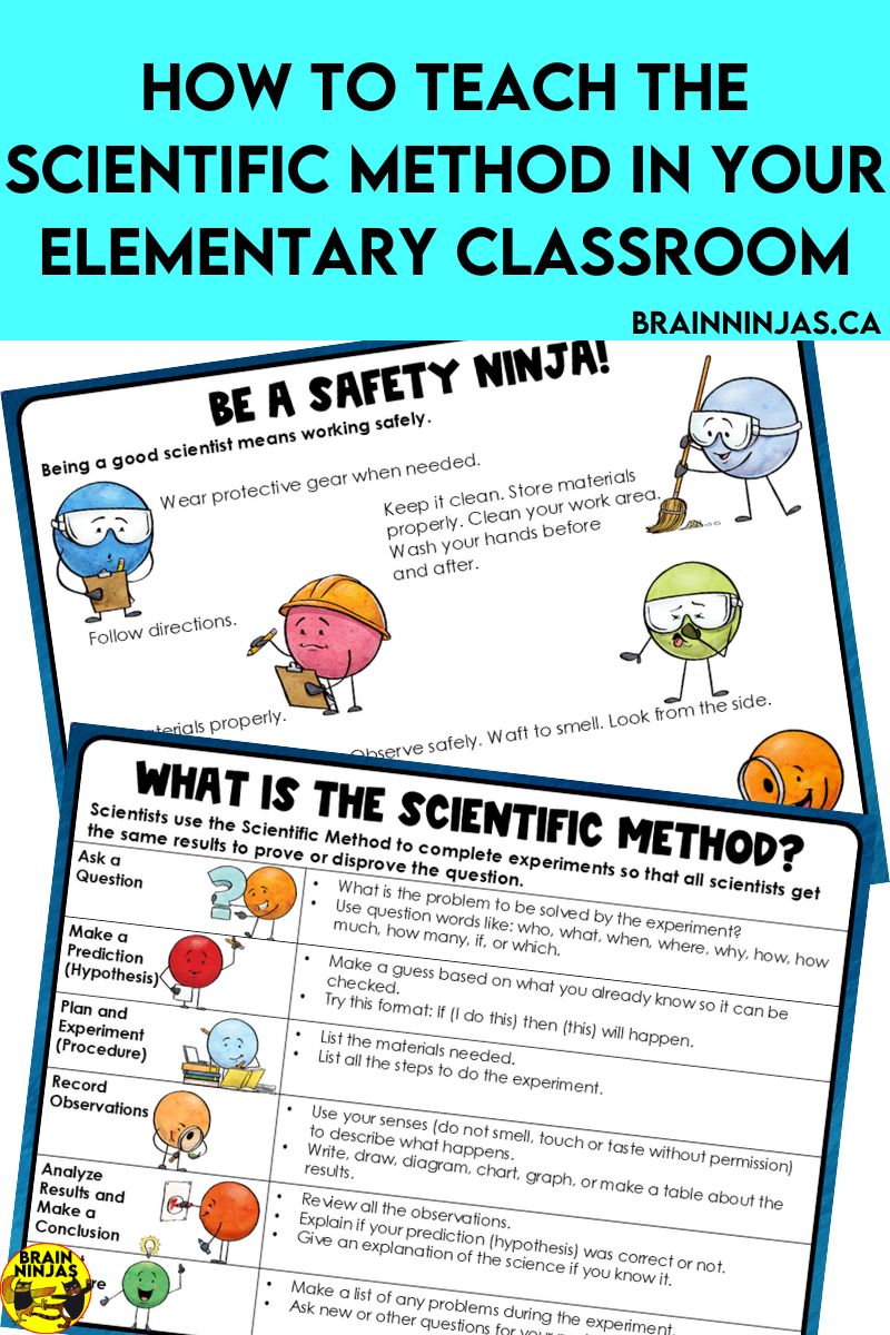 How to Teach the Scientific Method in Your Elementary Classroom - Ninja ...